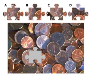 Jigsaw Puzzles: Find the correct piece - 1